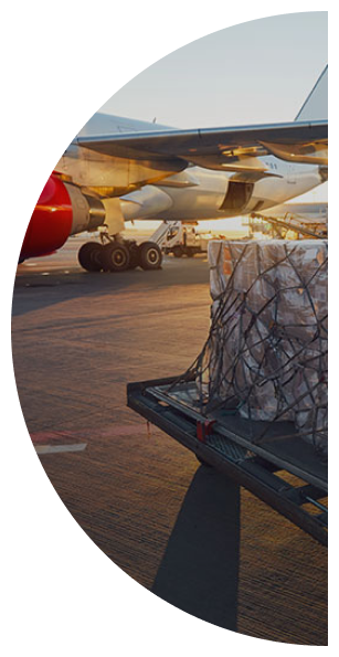 Allied Logistics